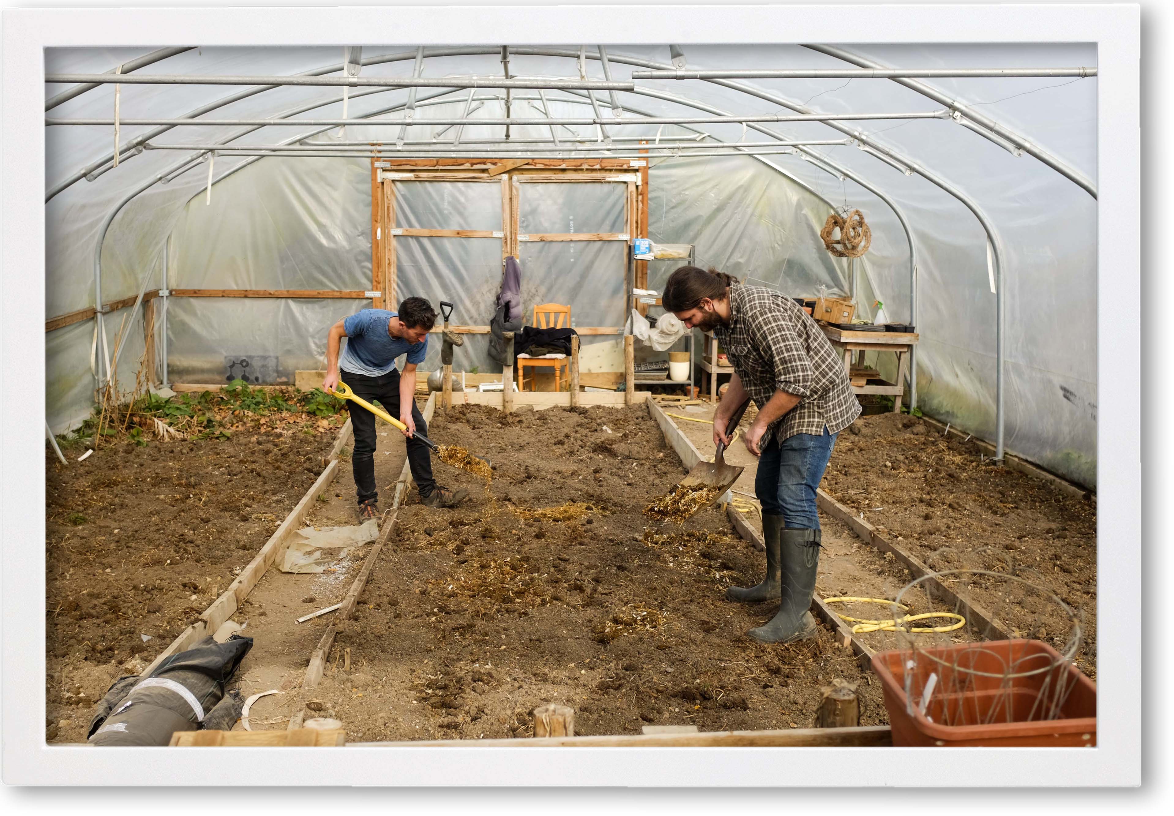 Pumpkin Patches and Polytunnels: Restarting our Kitchen Garden ...